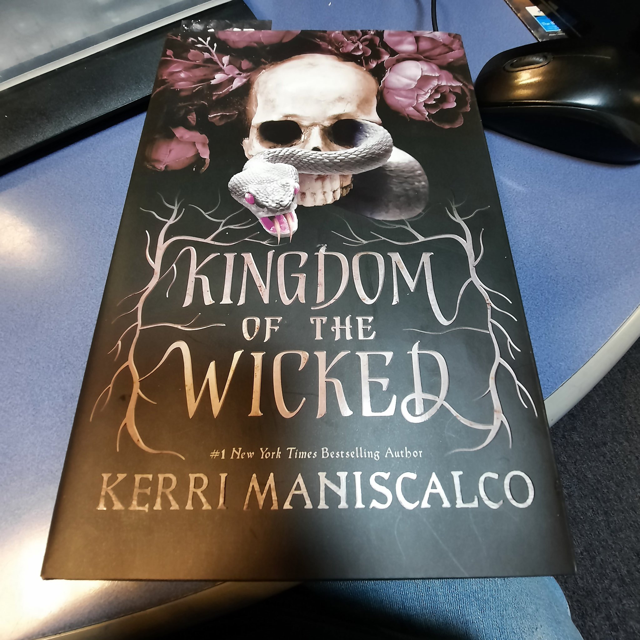 🍭 S h a n n o n - #booktwt on Twitter: "Totally not reading at work 🫣 https://t.co/mAzKqBO9aW ...