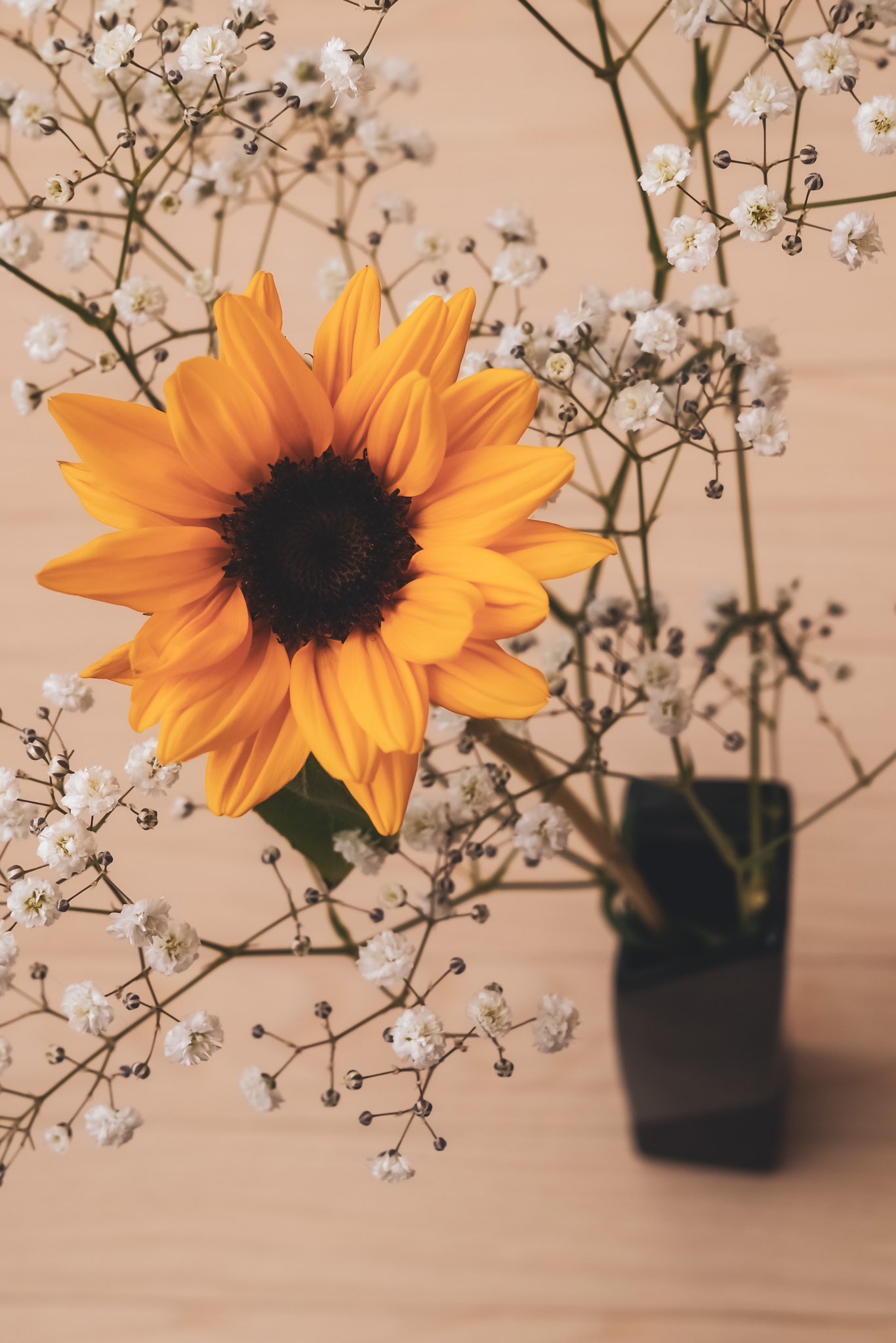 𝘒𝘜𝘙𝘐𝘛𝘈 𝘋𝘈𝘐𝘚𝘜𝘒𝘌 on Twitter: "ありがとう。 https://t.co/VMHSItm49B" / Twitter