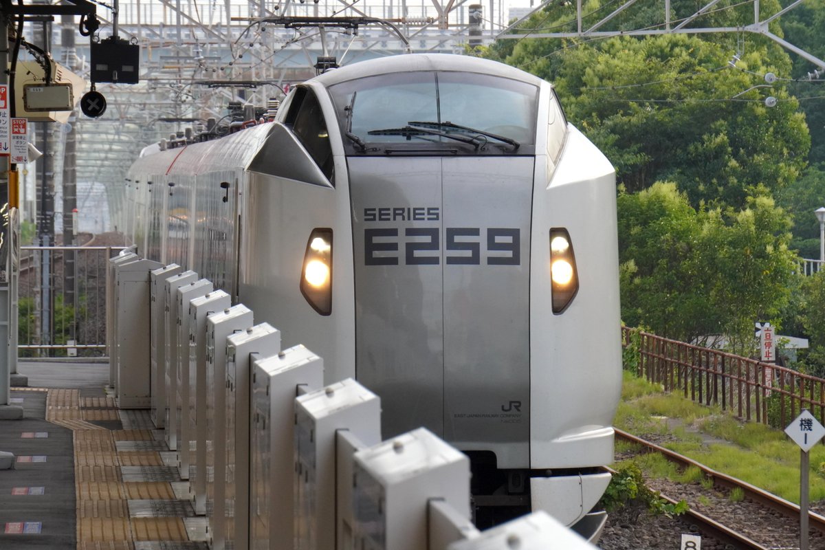 ヂーゼル機関車《masashi》 on Twitter: "おはようございます(:D)┓ 【新小岩駅】新デザインE259系成田エクスプレス-成田空港行 【新小岩信号場】キヤE195系(停車中 ...