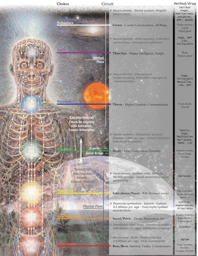 Qabalah & the Eight Circuits of Consciousness: Hack Your Mind🧵 The 8 ...