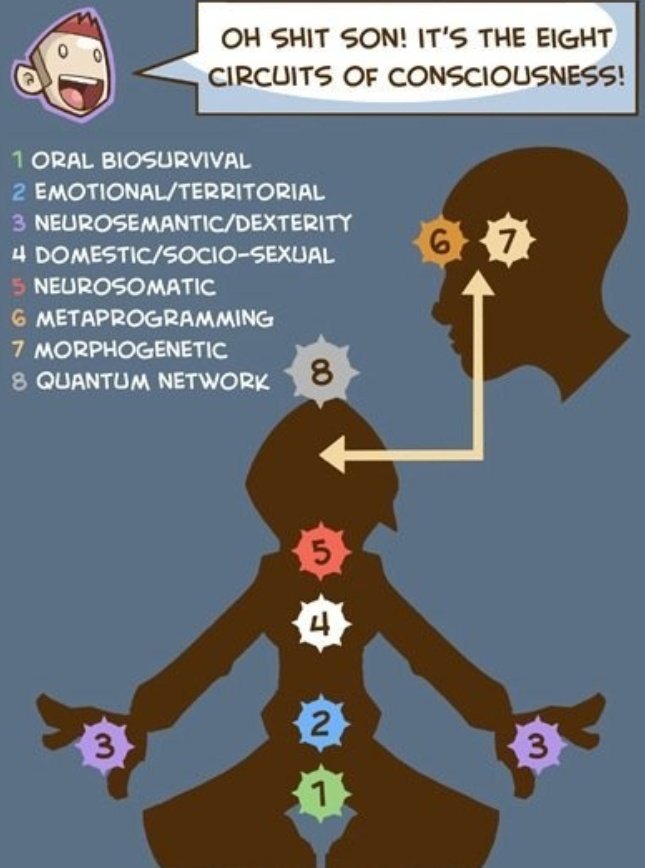Qabalah & the Eight Circuits of Consciousness: Hack Your Mind🧵 The 8 ...