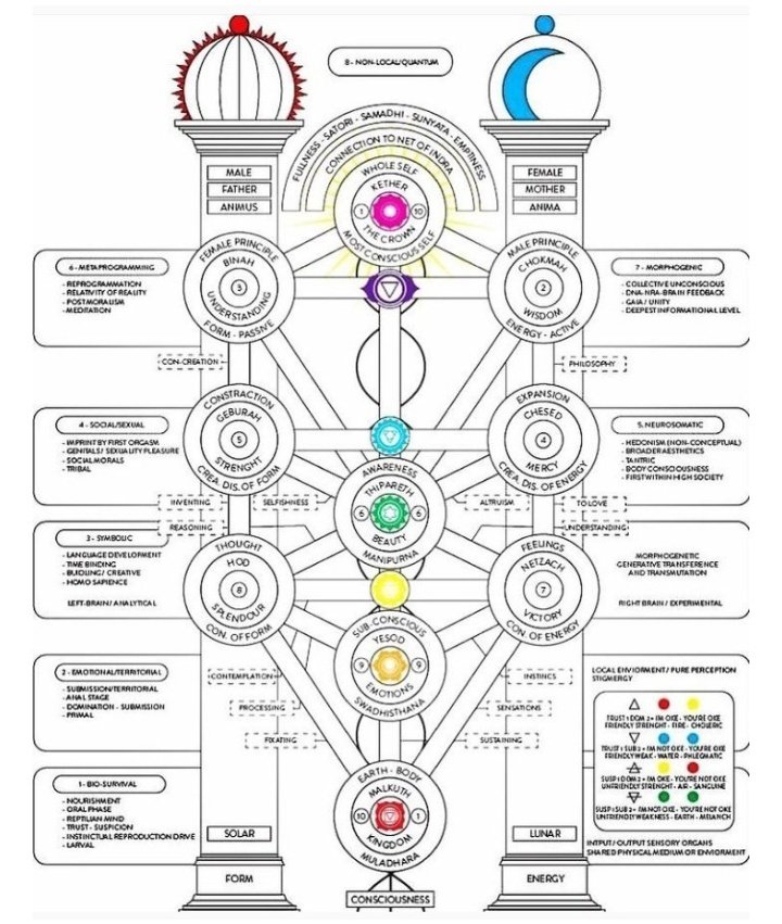 Qabalah & the Eight Circuits of Consciousness: Hack Your Mind🧵 The 8 ...