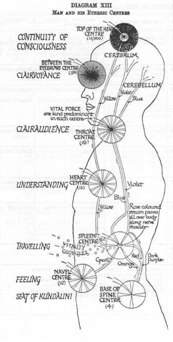 Qabalah & the Eight Circuits of Consciousness: Hack Your Mind🧵 The 8 ...