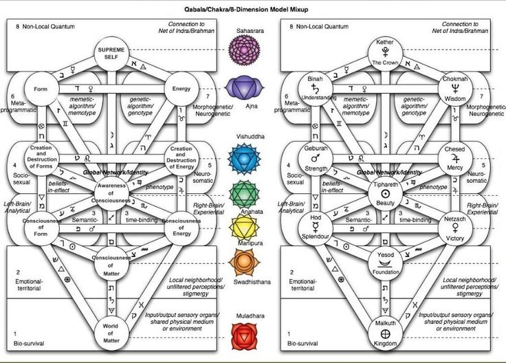 Qabalah & the Eight Circuits of Consciousness: Hack Your Mind🧵 The 8 ...