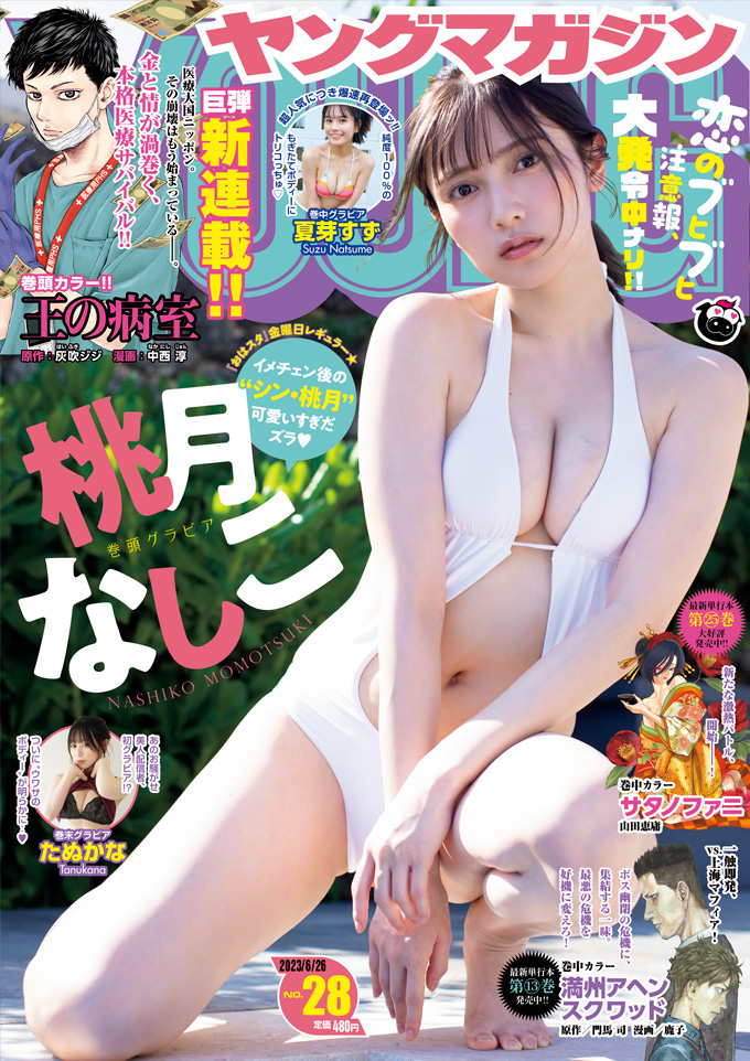 ヤングマガジン編集部 On Twitter ヤンマガ 28号発売中!/ 表紙・巻頭グラビア: 桃月なしこ さん 巻中グラビア: 夏芽