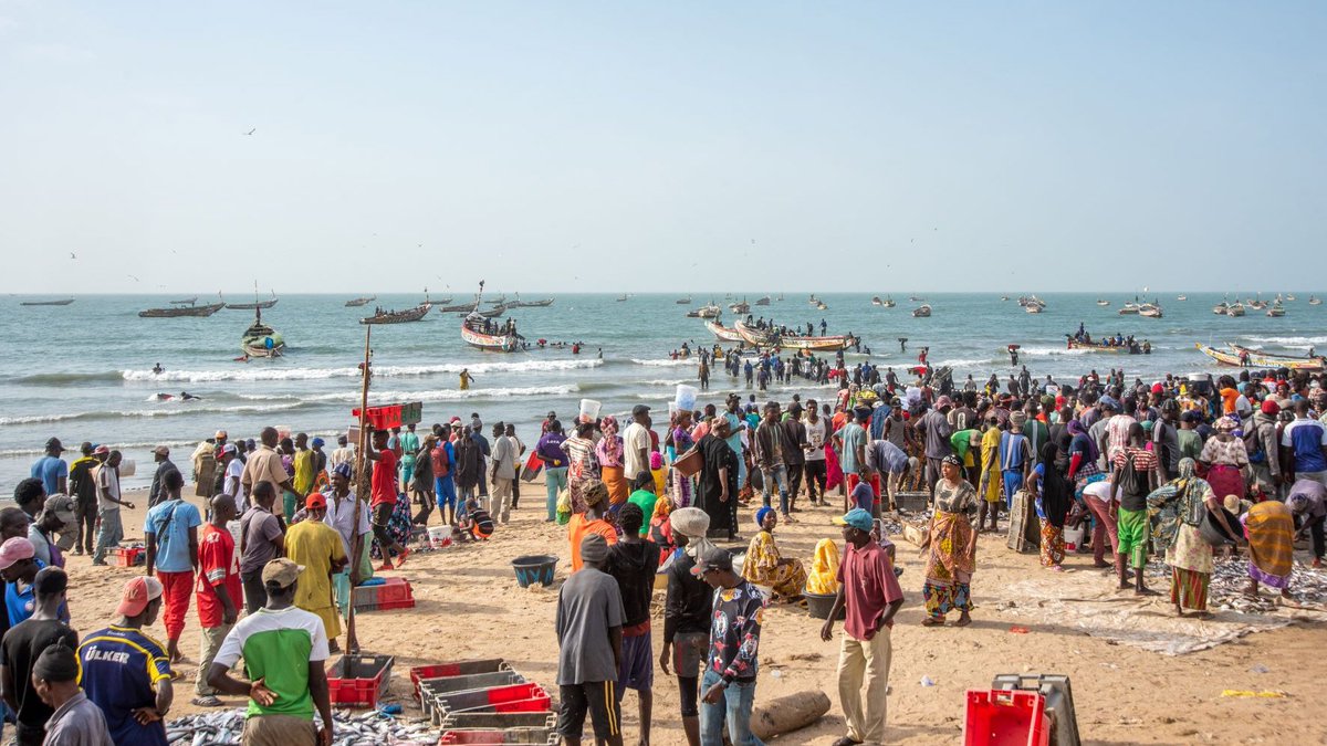 #BottomTrawling in EU-Senegal 🇪🇺🇸🇳 fishing agreement 1/4 For a well ...