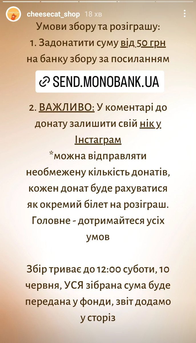 丂卄ㄩ尺丨🍉 on Twitter: "Ми(мій шоп) разом з cheesecat_shop відкрили благодійний збір коштів для ...
