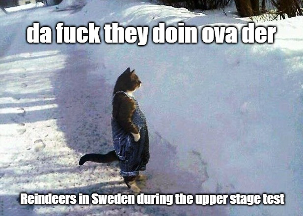 Dafuq Katt Meme Dafuq??? : R/memes