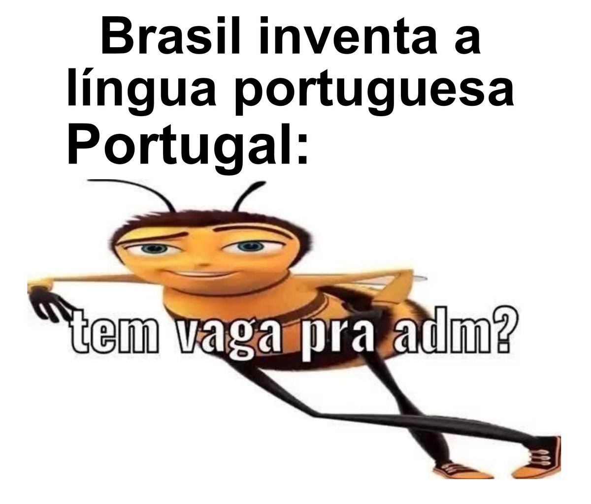 Meme Burros Ou Nada Inteligente On Twitter