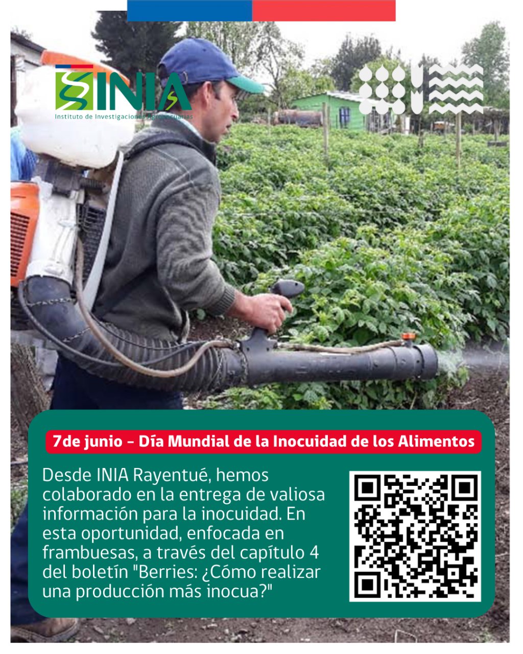 INIA Chile (@iniachile) / Twitter