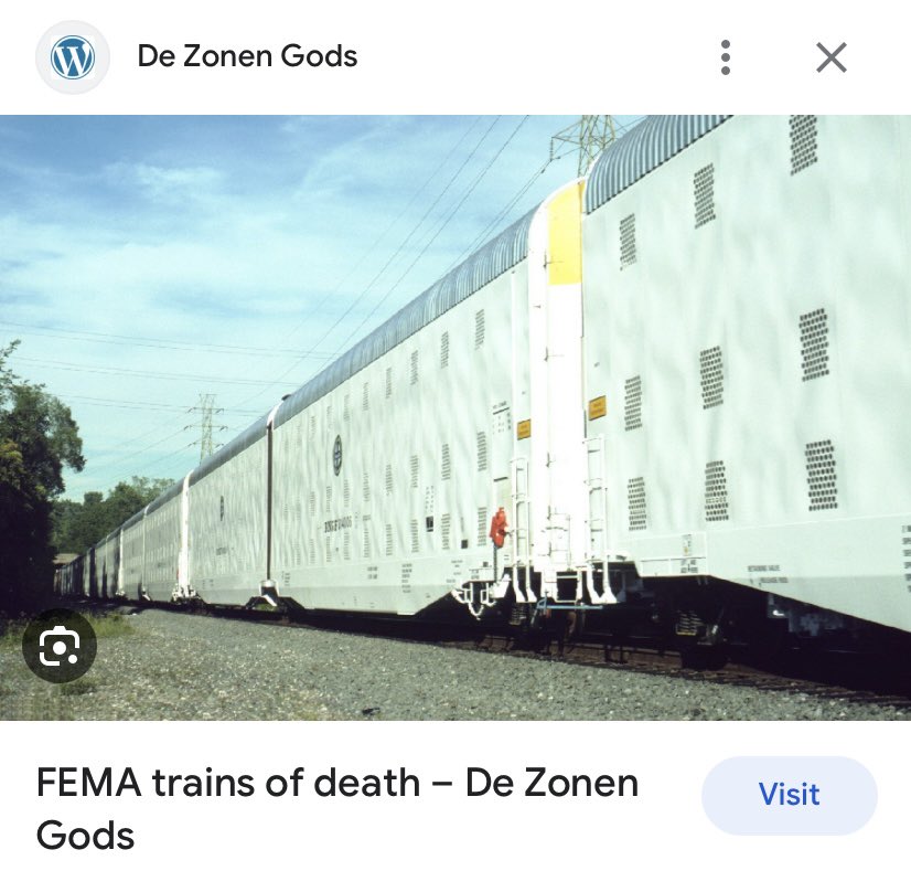 Fema Camps Trains
