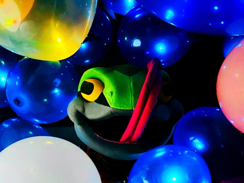 MelonSpeedruns (@MelonSpeedruns) / Twitter