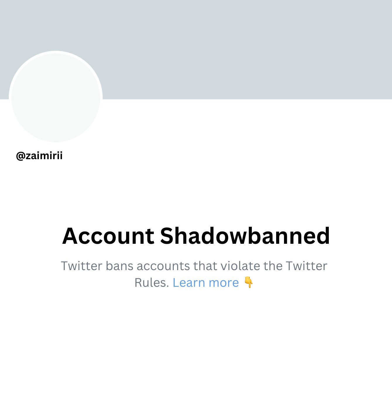zaimiri ️ on Twitter: "Your account is shadowbanned. But you don't even know. Here's what you ...