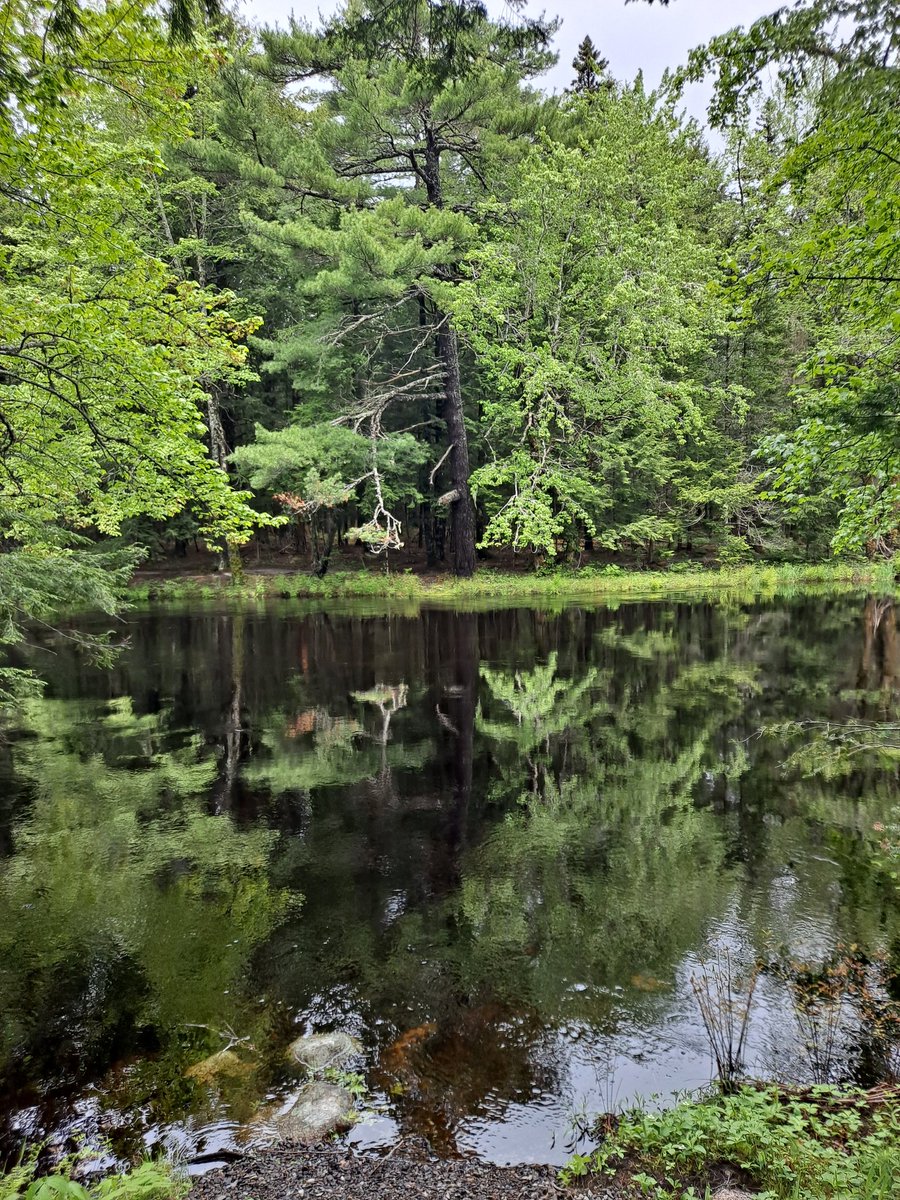 Keji Hiking Trails: Grafton Woods Trail Map & Guide - NS | HalifaxTrails.ca