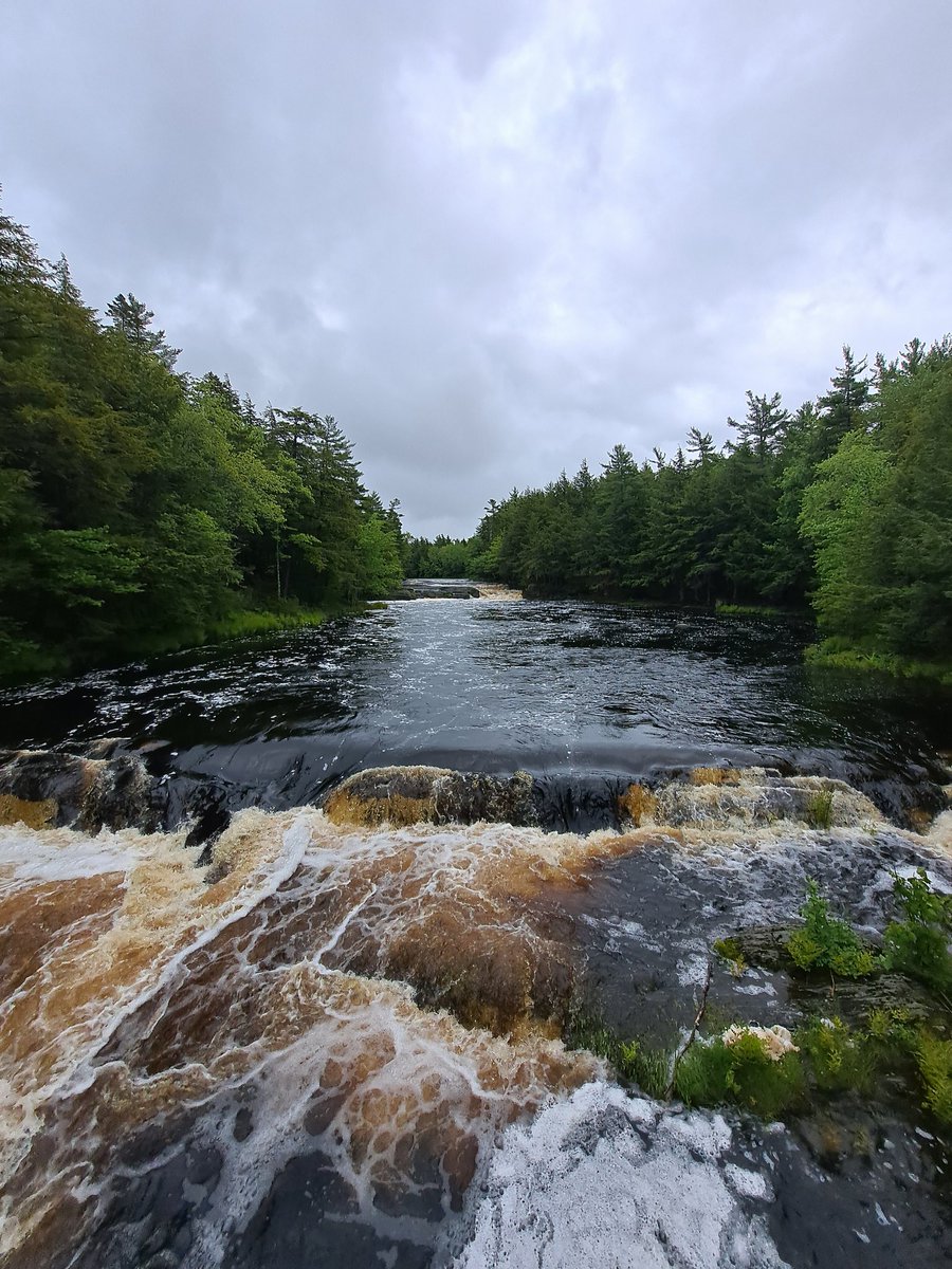 Keji Hiking Trails: Grafton Woods Trail Map & Guide - NS | HalifaxTrails.ca