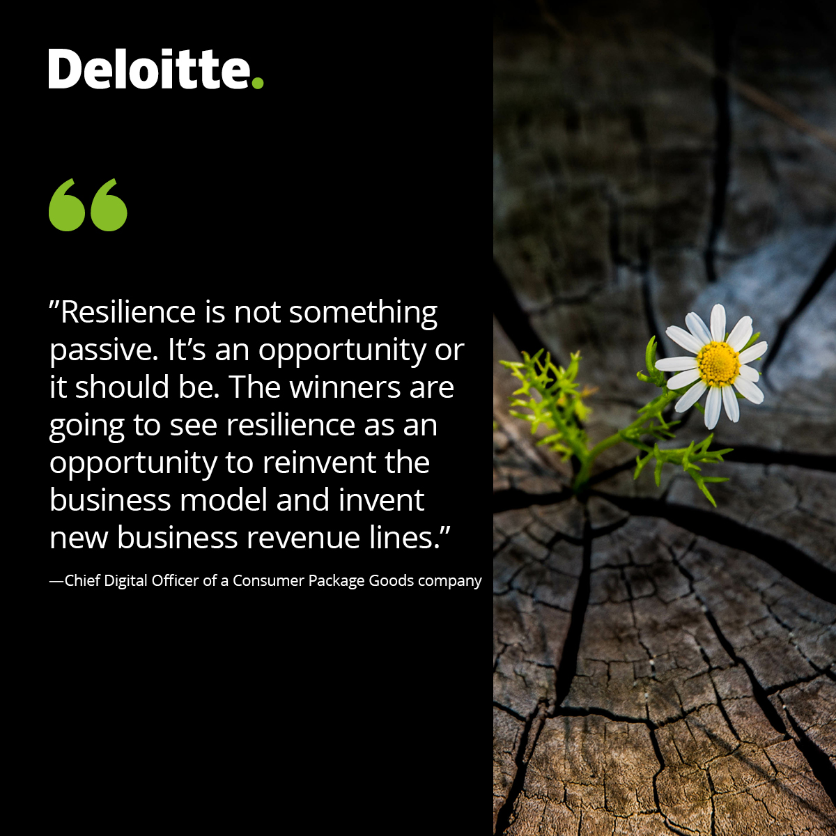 Deloitte Company Profile & Overview | AmbitionBox