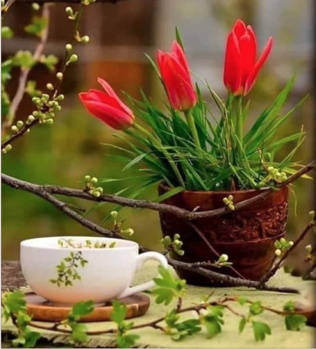 Bryce-Jones on Twitter: "XXXXXXXXXXXXXXXXXXXXXXXXXXXXXXXXXX 🎀 MISTRESS BRYCE-JONES 🎀 June 8th 💞 ...