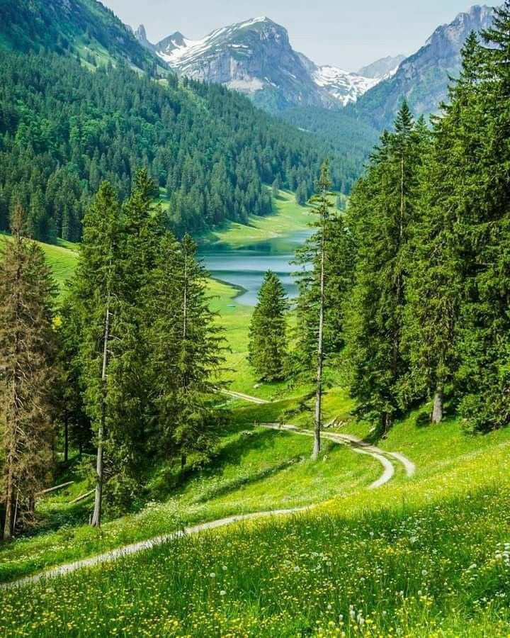 Жаагий On Twitter Rt Amaraa12n Өглөөний мэнд Өнөөдрийн ажил үйлс