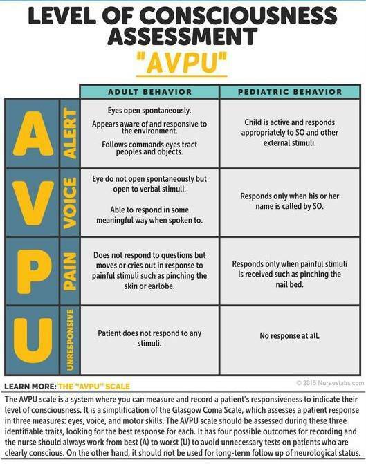 Level Of Consciousness Scale