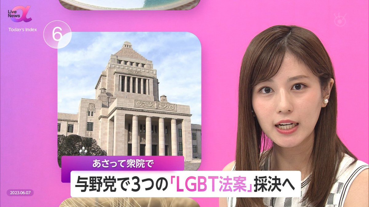 城丸香織 on Twitter: "LGBT法案 与野党双方提出の3法案 9日衆院内閣委員会で採決へ https://www3.nhk.or.jp/news/html/20230607 ...