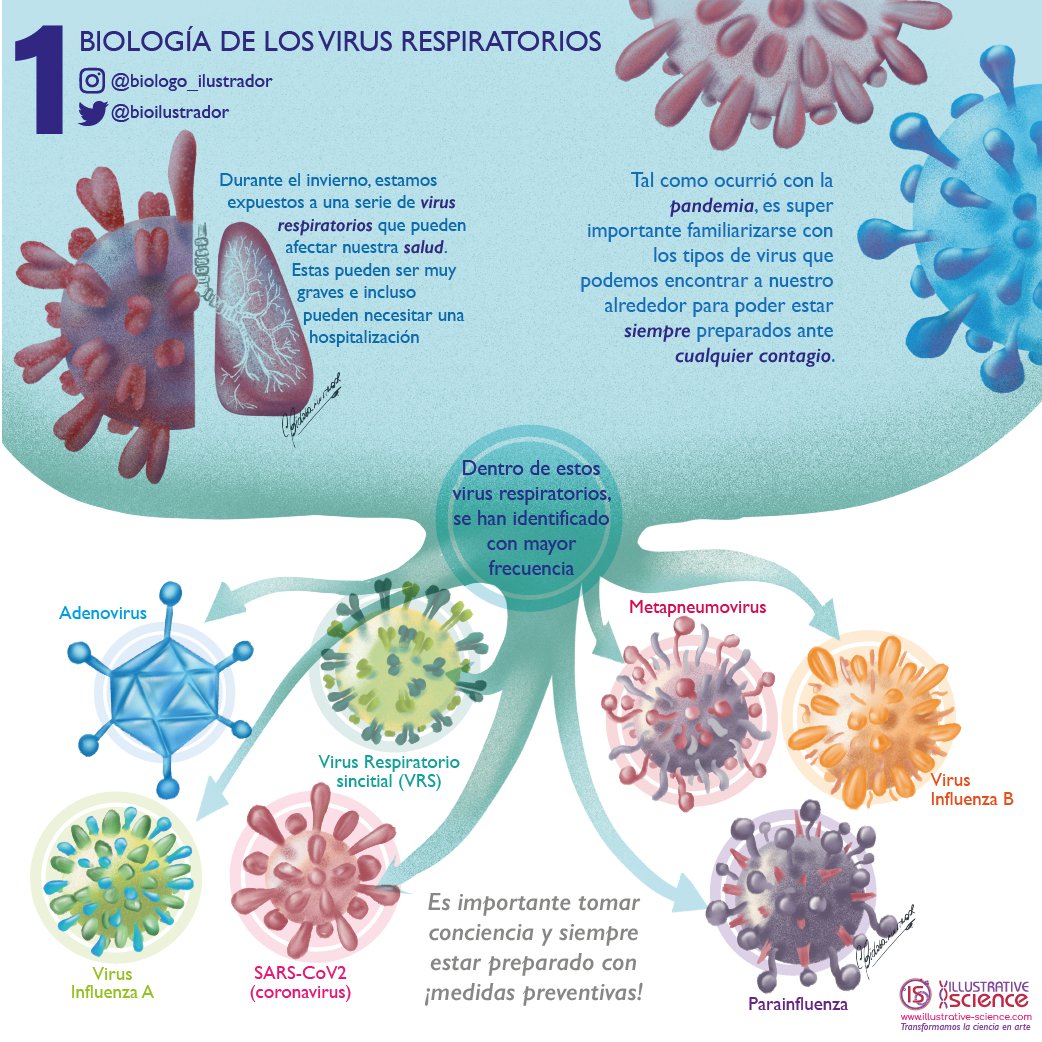 Bi贸logo Ilustrador 馃 On Twitter Infograf铆a 1 路 Biolog铆a De Los Virus