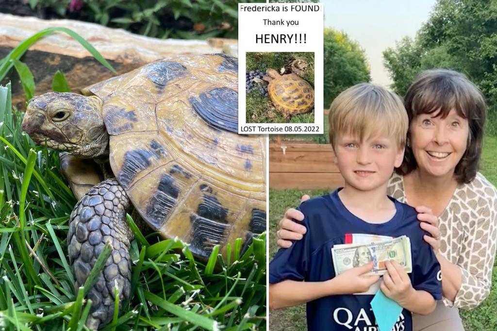 New York Post on Twitter: "Kansas woman reunited with lost tortoise 9 months after it went ...