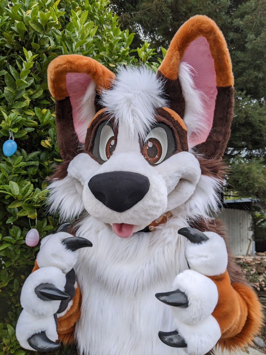 ⚡Sparky⚡ on Twitter: "About my fursona! Name: Sparky Gender: NB Species: Border collie ...
