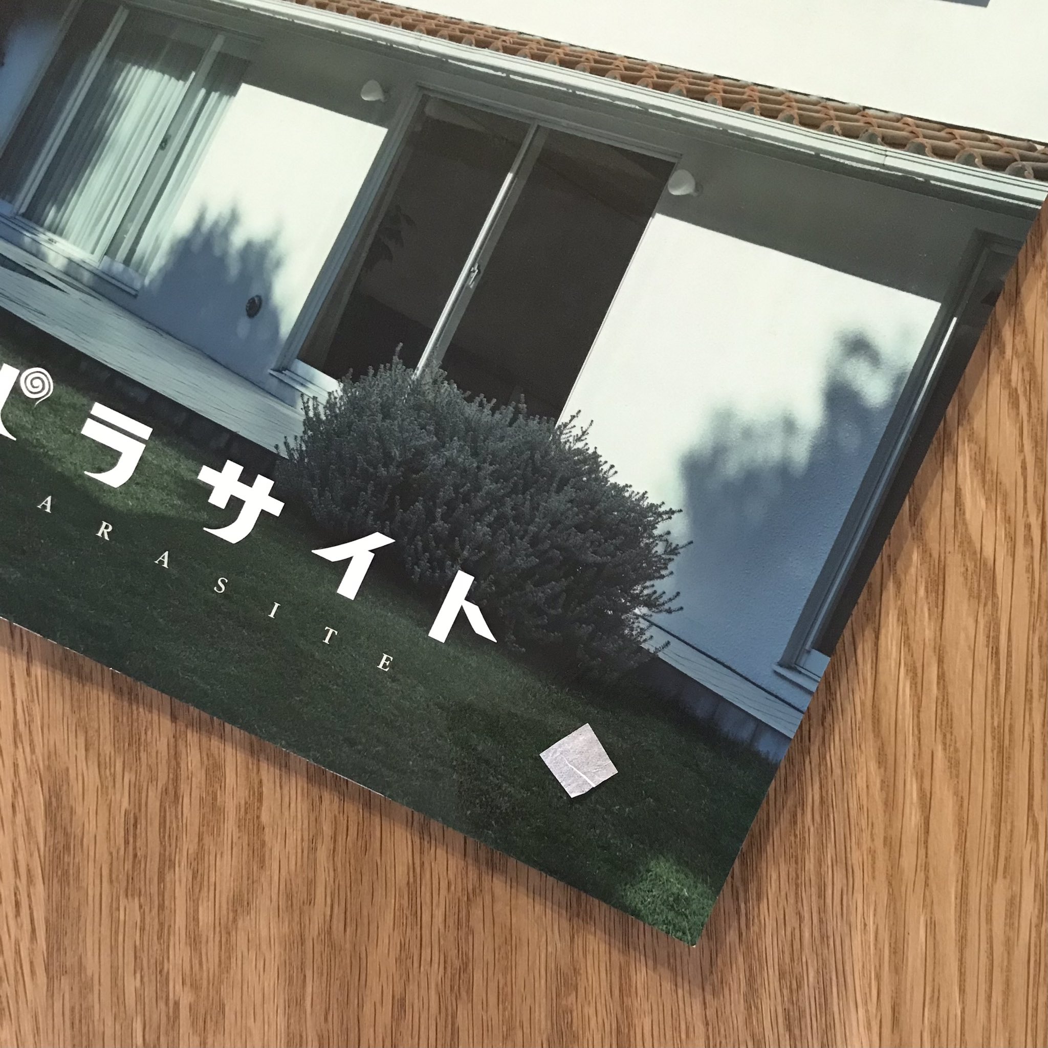 koe on Twitter: "昨日持ってたカバンの中を整理してたら、紙吹雪の一片が紛れ込んでいたみたい。願いが叶う雪のかけら。 #パラサイト https://t.co/FyMiQ8v6qt ...