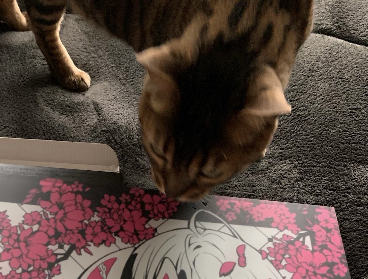 満月シオン on Twitter: "良き😘 @GrowthArts @wraithesportsTR @WraithJapan"