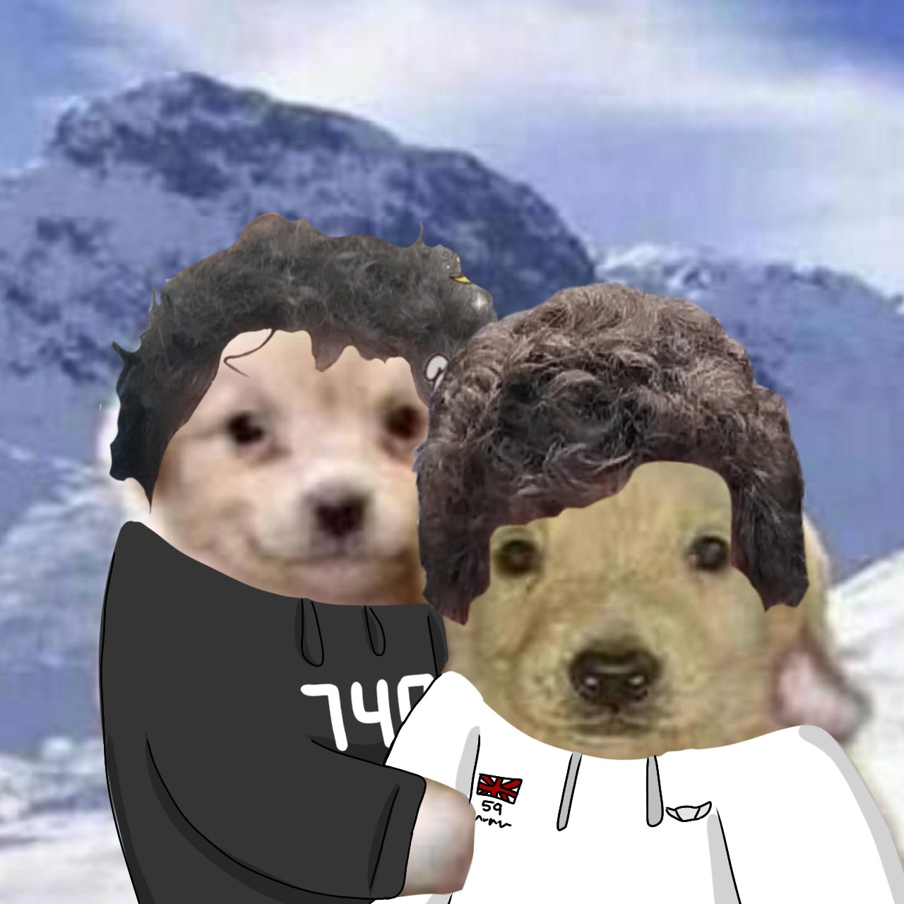 Memes Perros Abrazados Auténticos: Estas Son Las únicas Razas De
