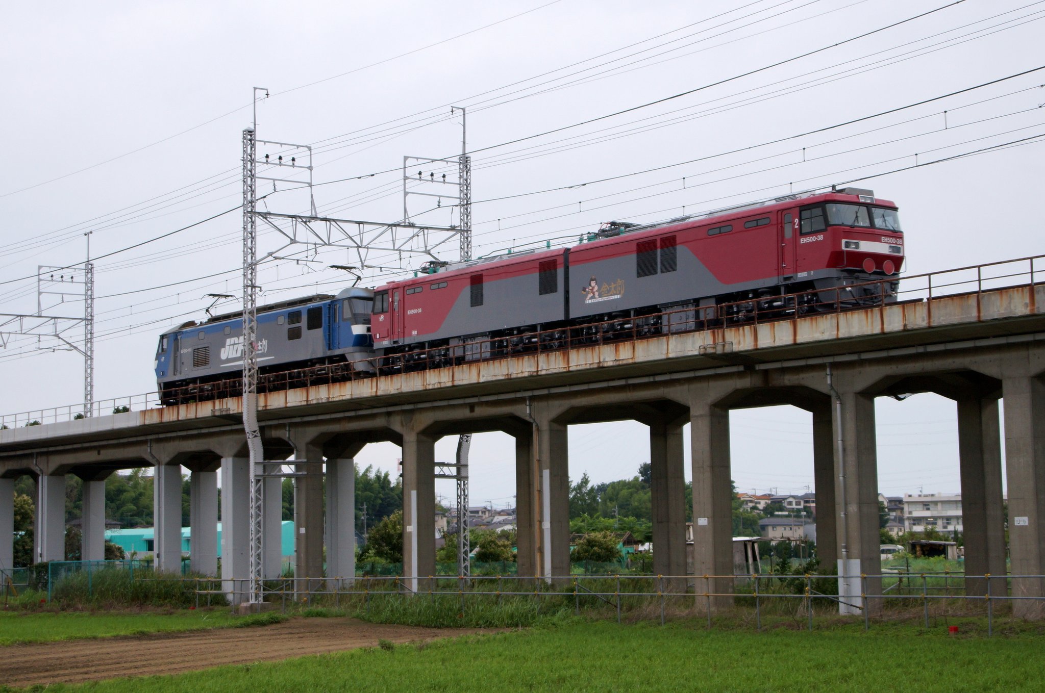 波鉄 on Twitter: "2023.6.8 EF210-161+EH500-38(OM出場) 単8282レ 武蔵野線 その前は EF210-135 シャトル77レ EH500-4 ...