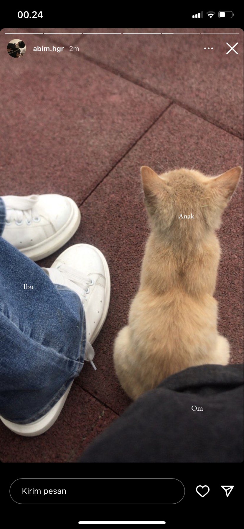 🔖 🐟 on Twitter: "-366. https://t.co/Z6qXUe7Ya3" / Twitter