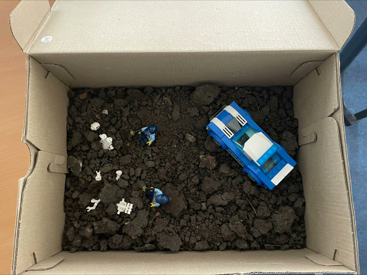 TDMS on Twitter: "Y12 Criminology students had the half term task of ...