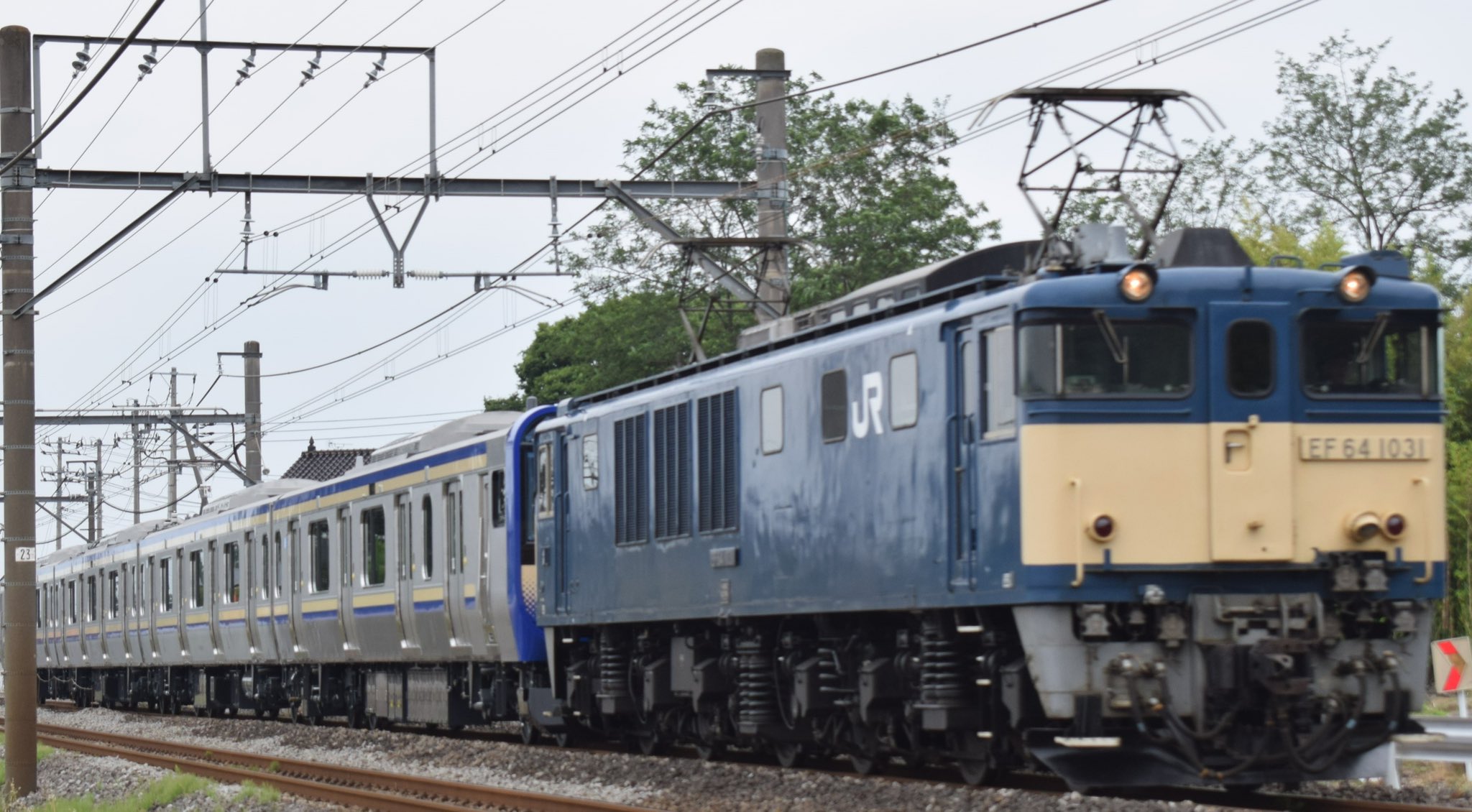 芋神〜IMOSHIN on Twitter: "2023/06/08 新津配給 配9728レ EF64 1031+E235系 J-24編成 高崎線 新町〜神保原駅間 https://t.co ...