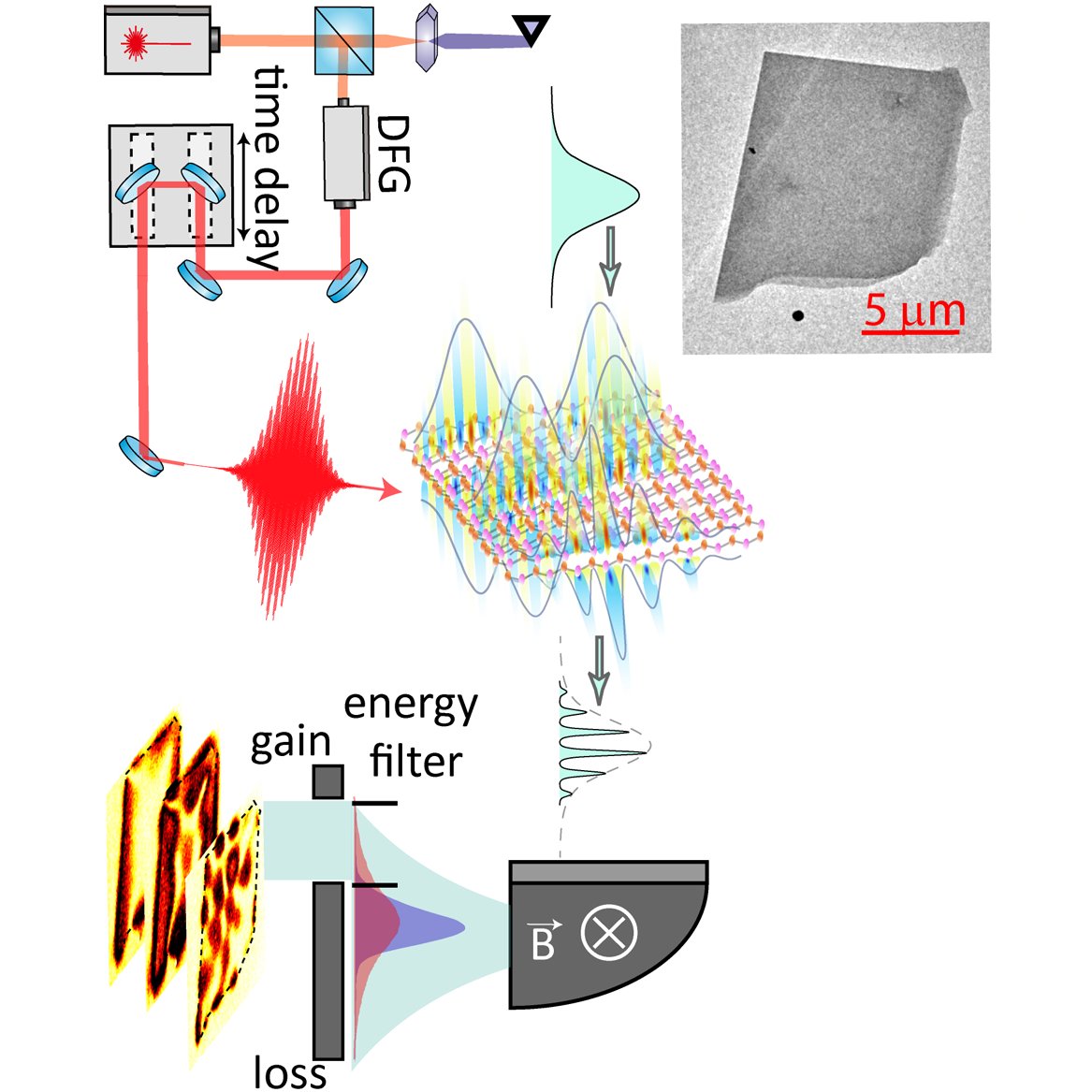 Optica Publishing Group on Twitter: "Via #OPG_Optica: Dynamics of ...