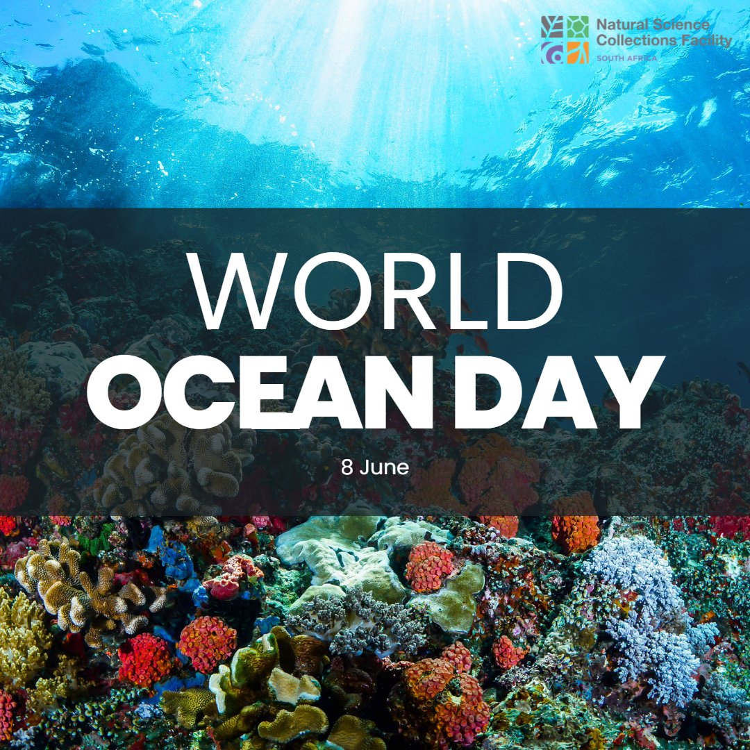 Nscf Sa On Twitter Happy World Oceans Day As Much As We Need To