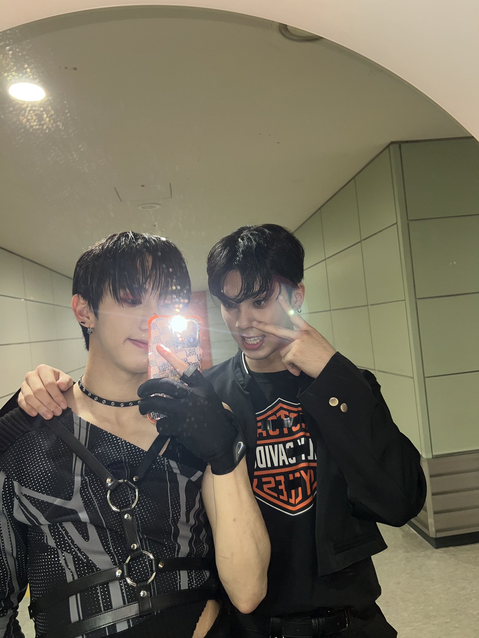 리다랑막냉이 (@vitamin_DKB) / Twitter