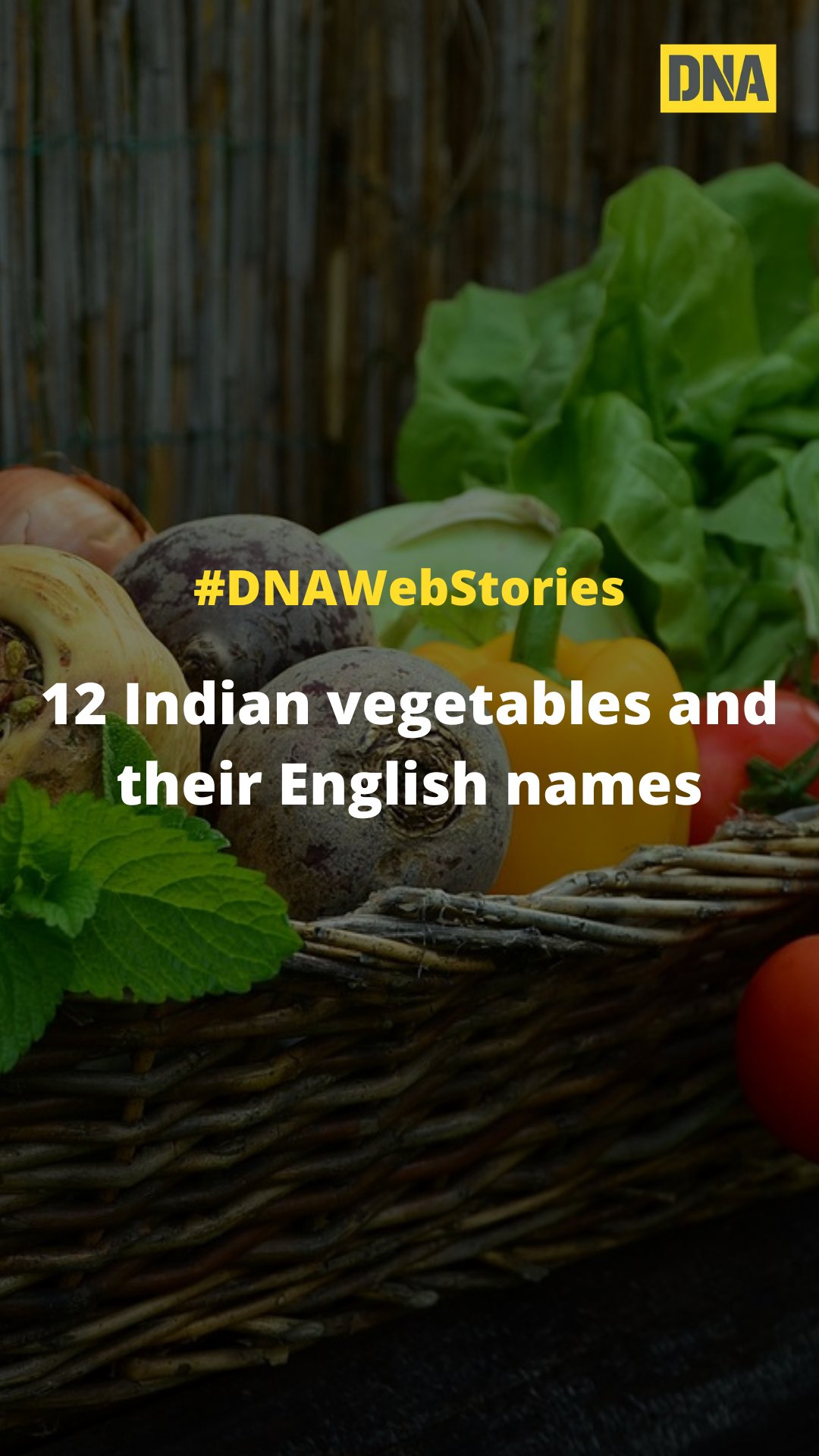 All Indian Vegetables Names