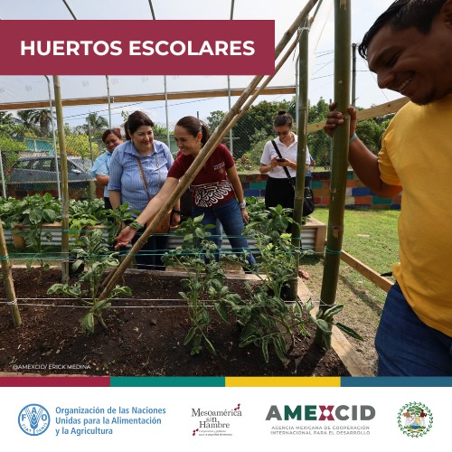 FAO Mesoamérica on Twitter: FAO Mesoamérica on Twitter: