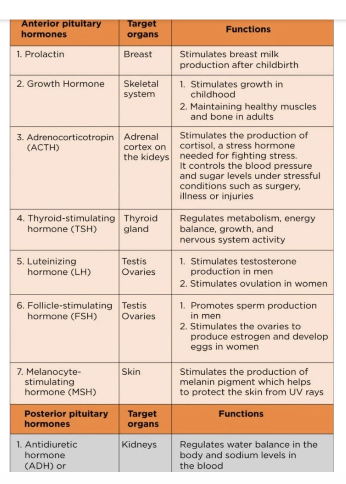 Pituitary Gland Hormones Mnemonic