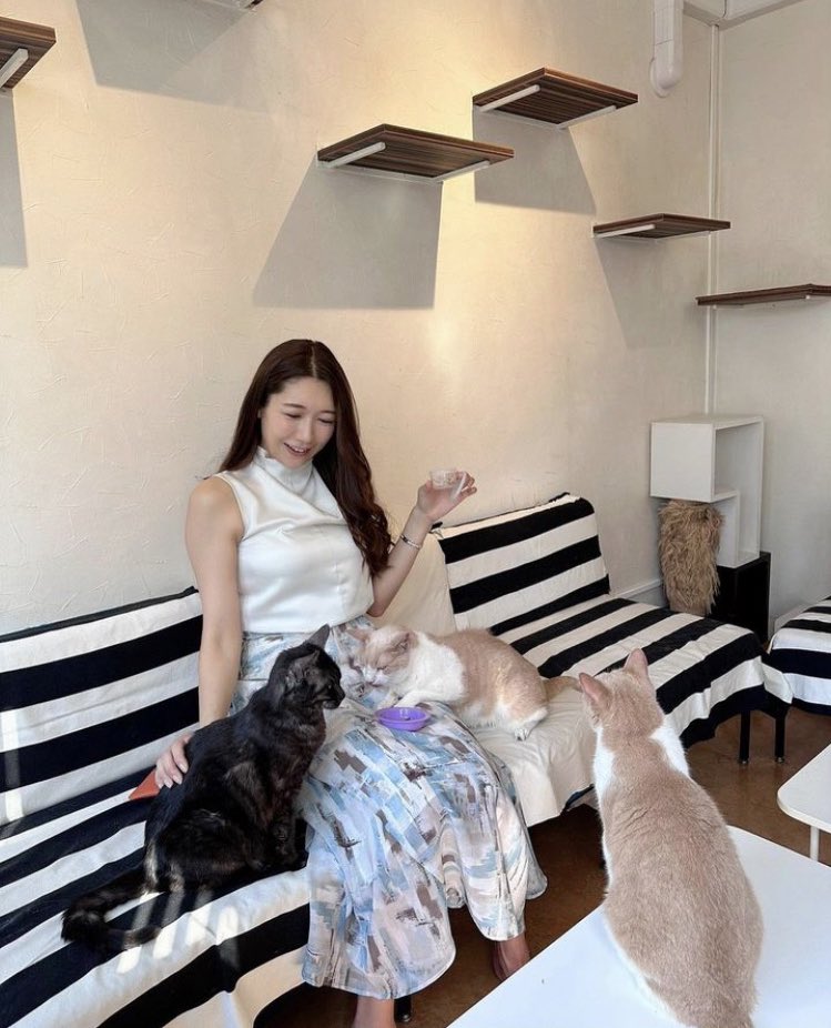 🌸お天気は穂川果音さん🌸 on Twitter: ". 🐰Voicy… 穂川果音の夜11お天気 気象予報士 ️穂川果音さん 🌀☔️明日のお天気！！ こちらから↓↓↓ https://voicy ...