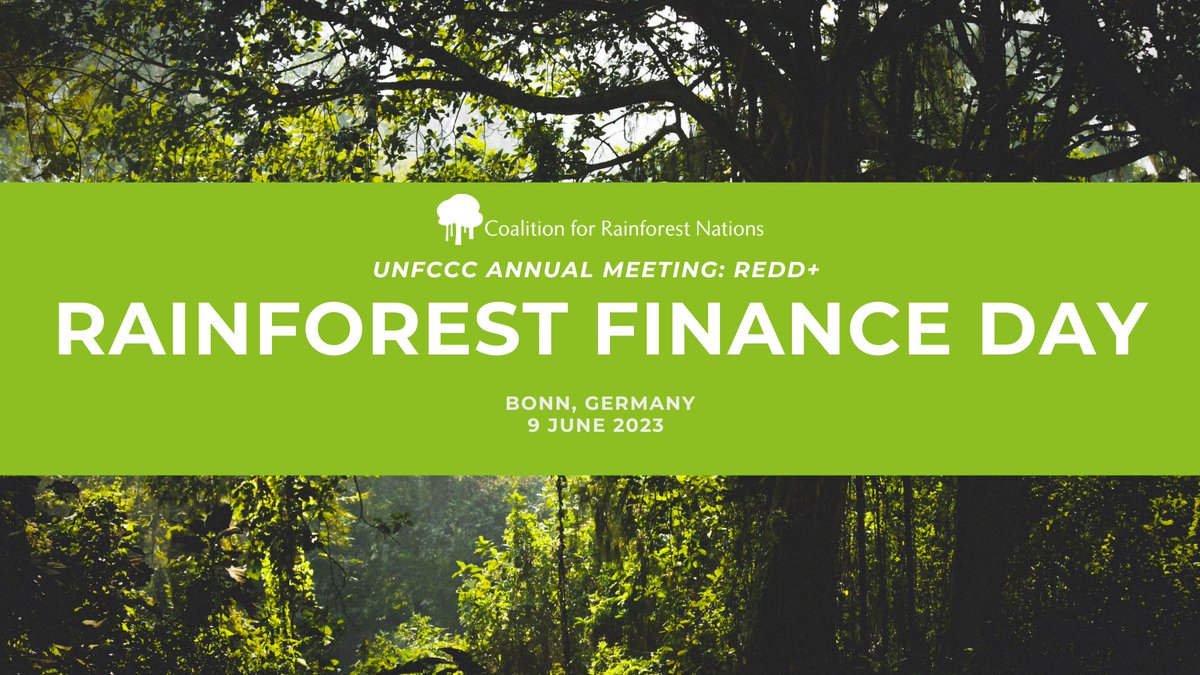 CfRN COP27 2022 - Coalition for Rainforest Nations