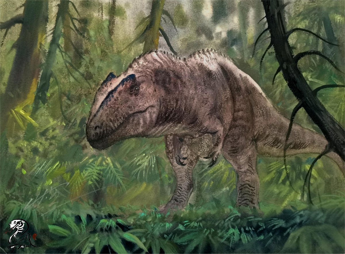 Baols (@zihanshen115982) さんのイラスト・マンガ作品まとめ (25 件) - Twoucan