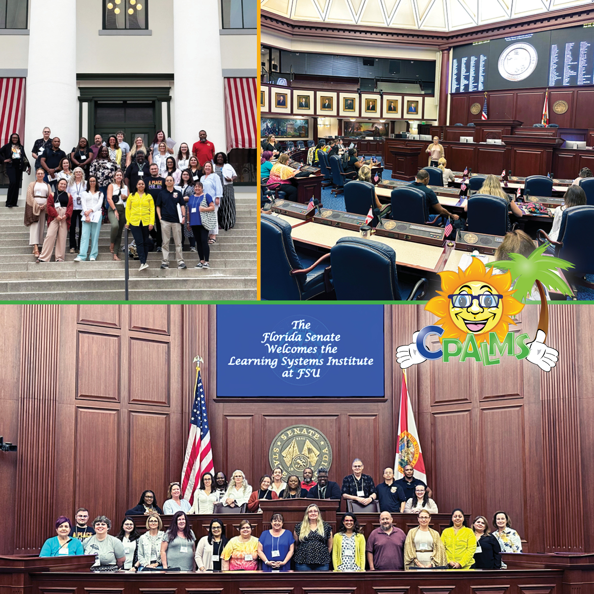 CPALMS (@tweetcpalms) / Twitter