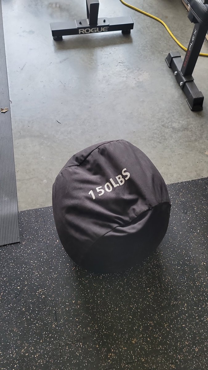 normie macdonald 🇺🇲 on Twitter: "She really loves getting tossed around"