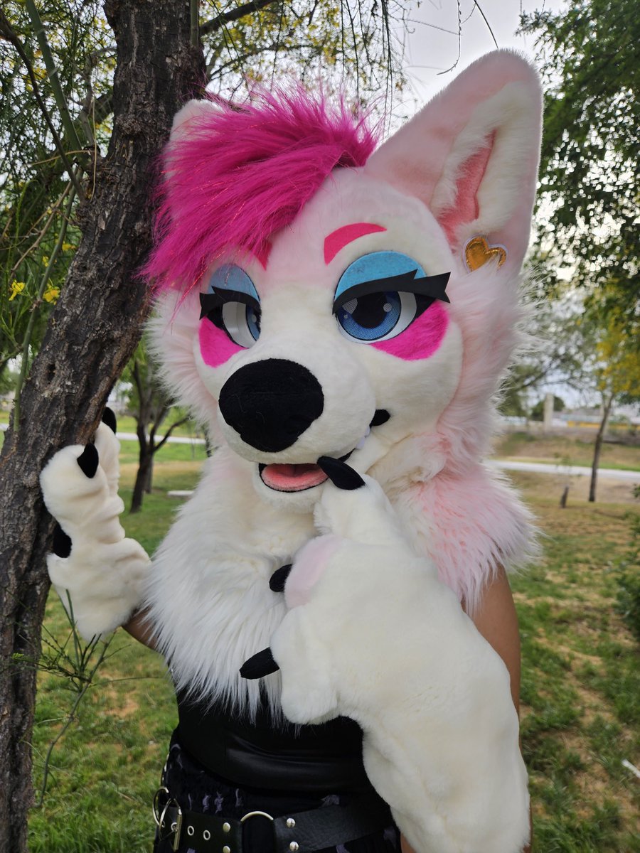 LesbiYeen🪿🍞 on Twitter: "About my fursona! Name: Goose🪿 Gender: She/her Species: brown yeen Fave ...