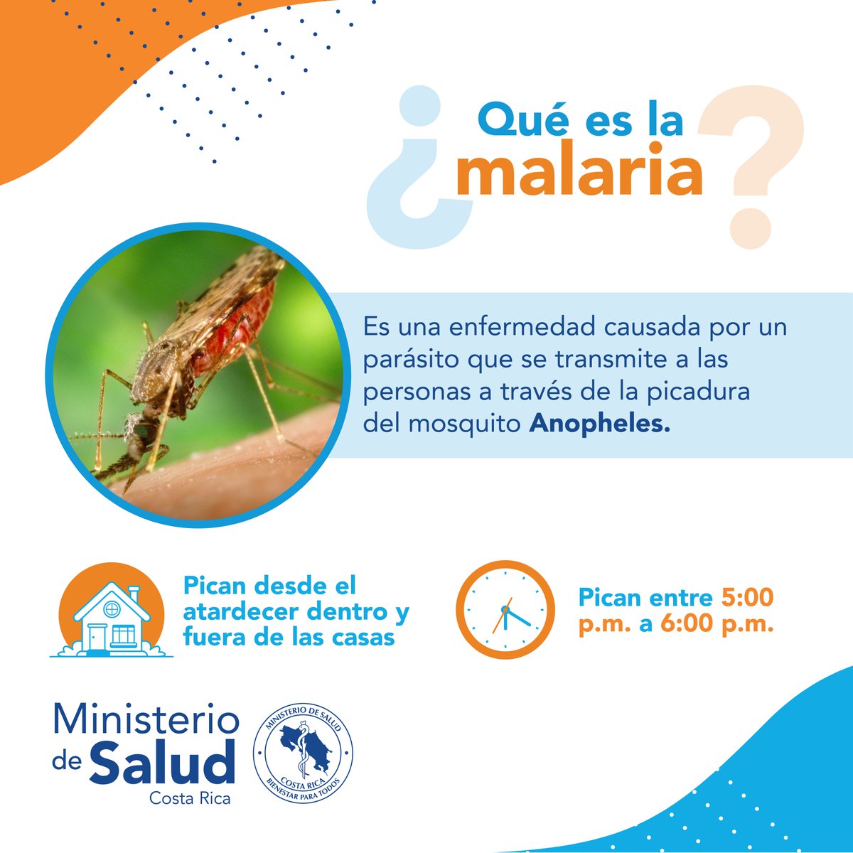 Ministerio de Salud de Costa Rica on Twitter: "La malaria es una enfermedad transmitida por ...