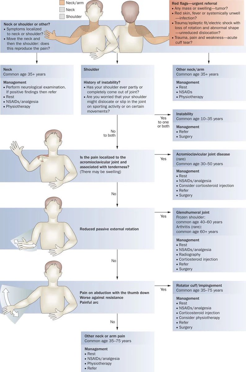 Shoulder Pain Management Guidelines at Joan Byrd blog