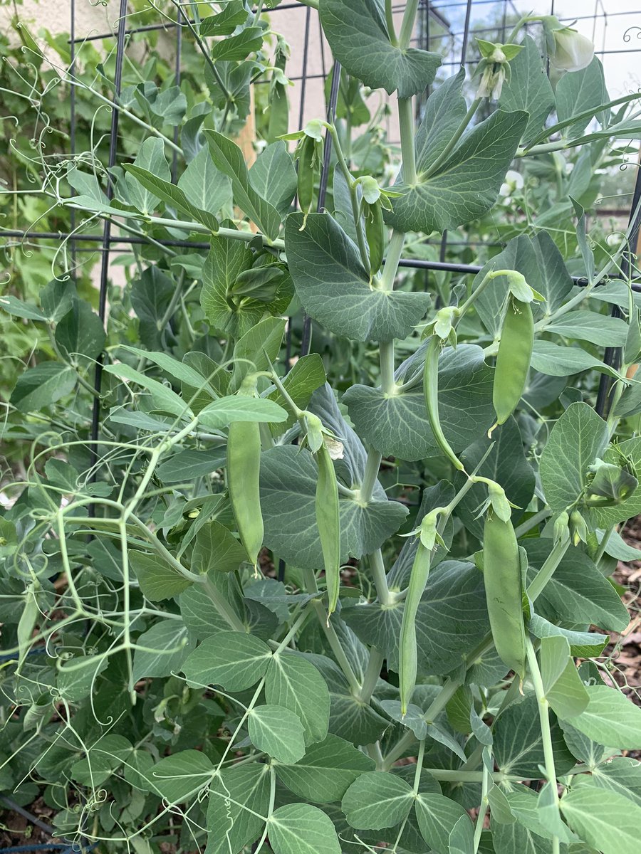 Thread by @EoinLenihan on Thread Reader App – Thread Reader App