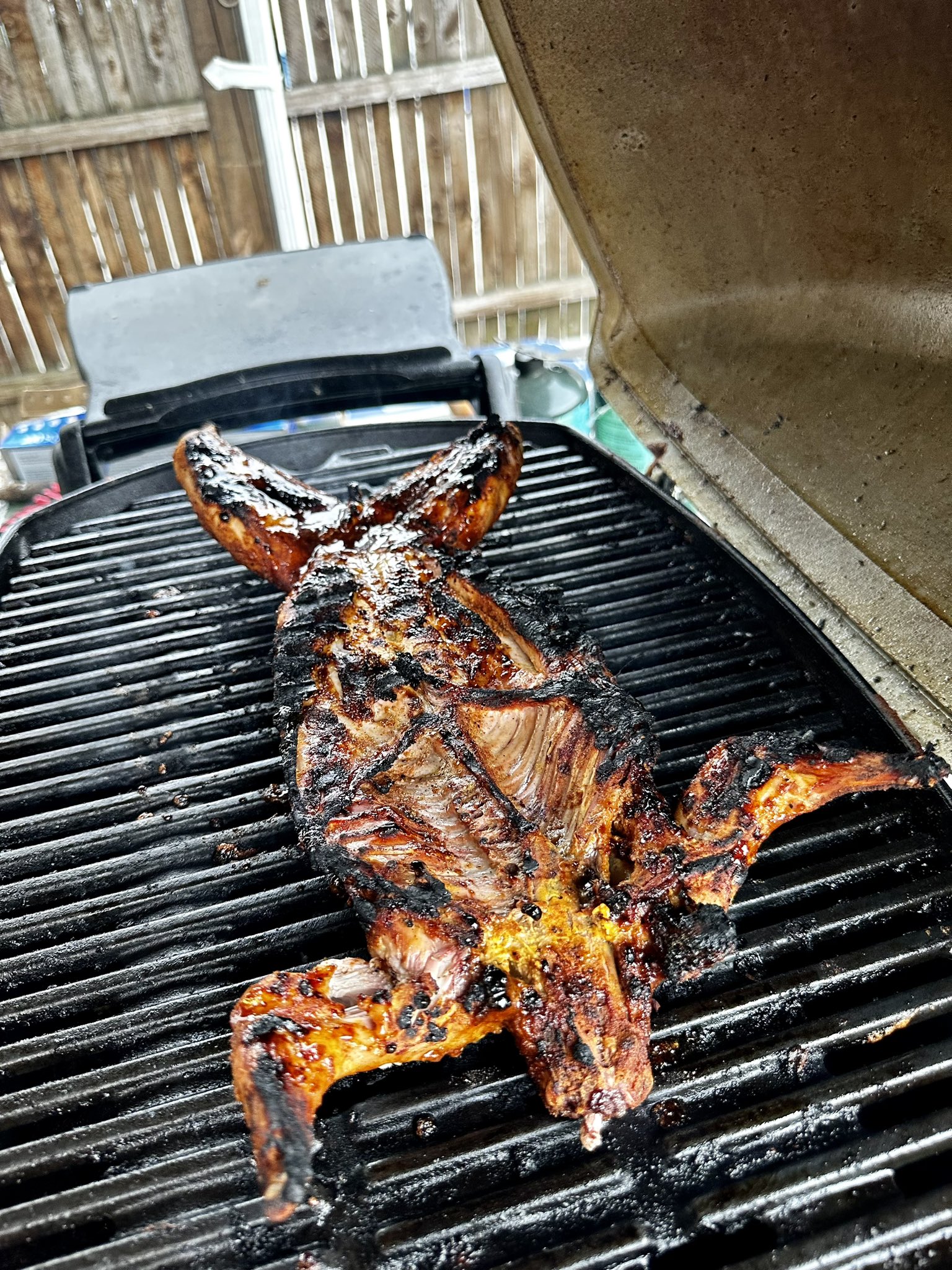 Grilled Rabbit